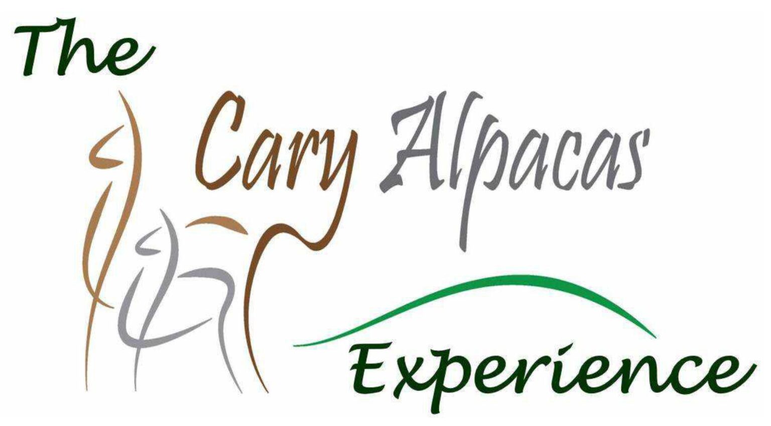 Welcome to Cary Alpaca Experience – Visit Cary Alpacas Somerset